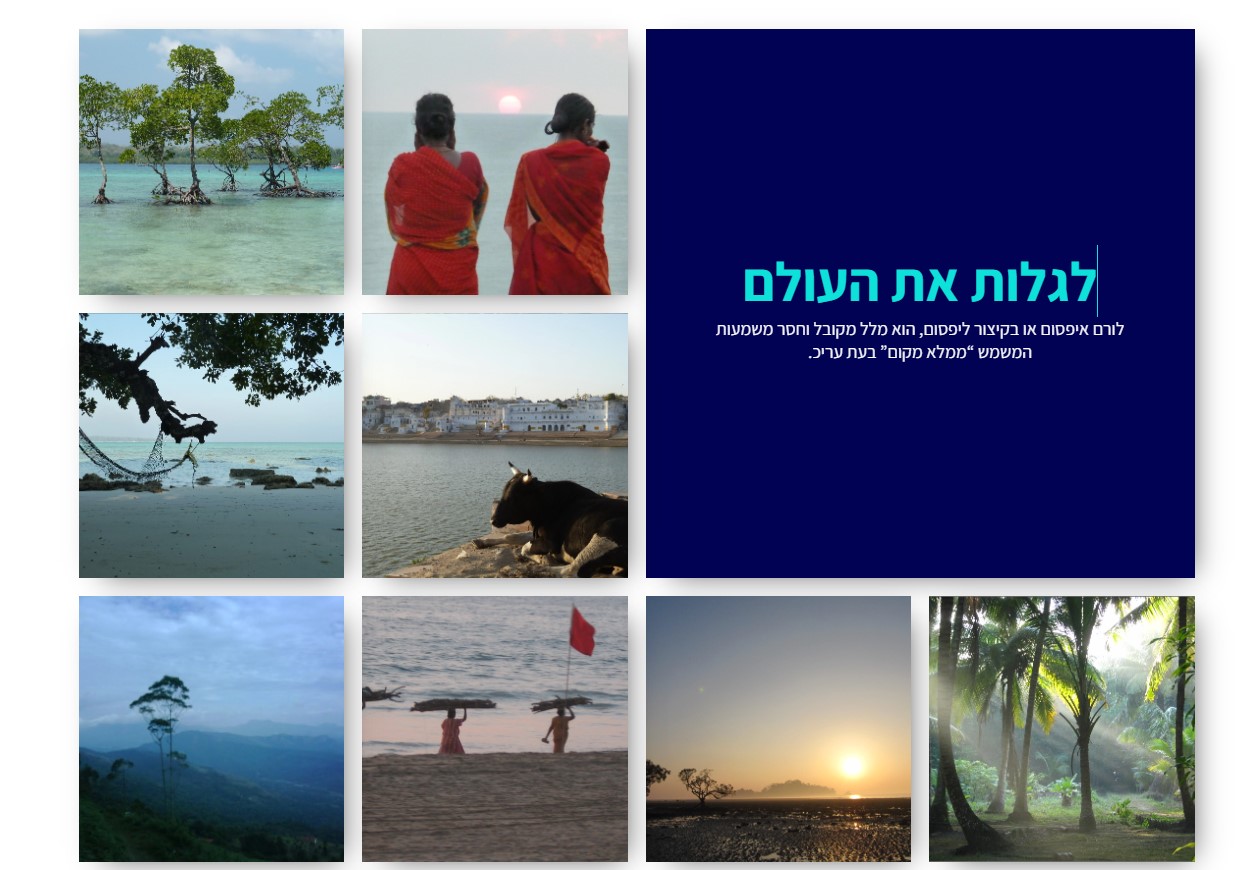 Kfir Kotler Protfolio